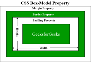 CSS Box Model - Learn Scripting